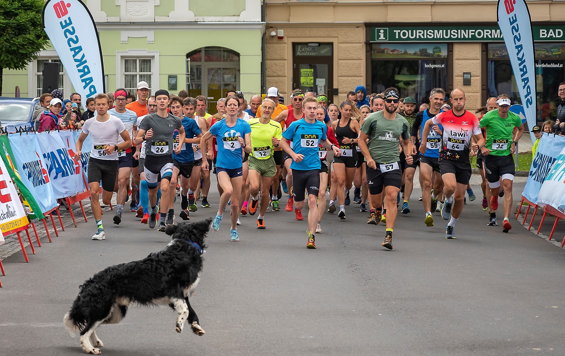 35.Sparkassen Sternsteinlauf mit Falkensteiner Staffellauf - SPORTUNION ...